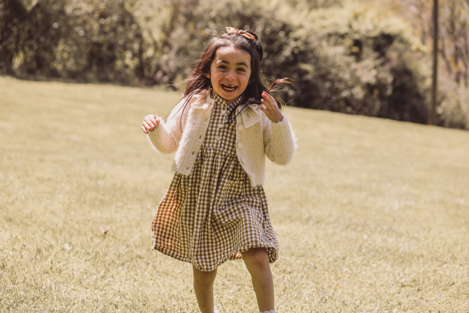 Home - Acorns to Oak Trees